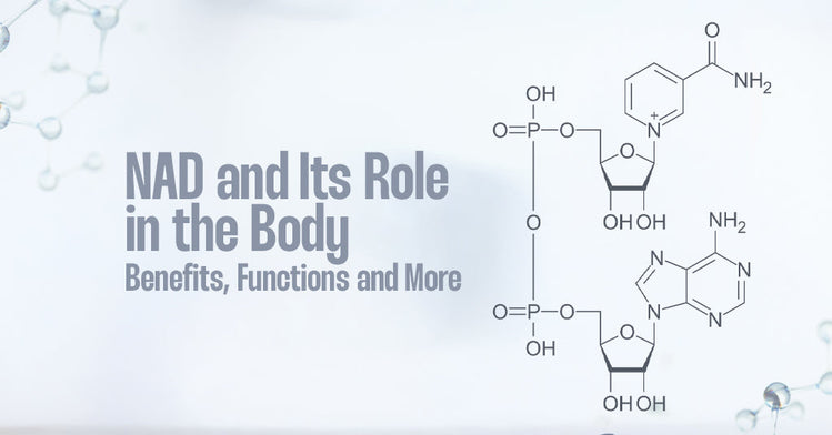 What Is NAD? Benefits, Functions & How It Supports Your Health – HerbalCart