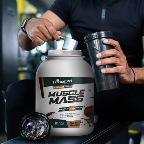 Sports Nutrition Supplements - Enhance Your Athletic Performance ...